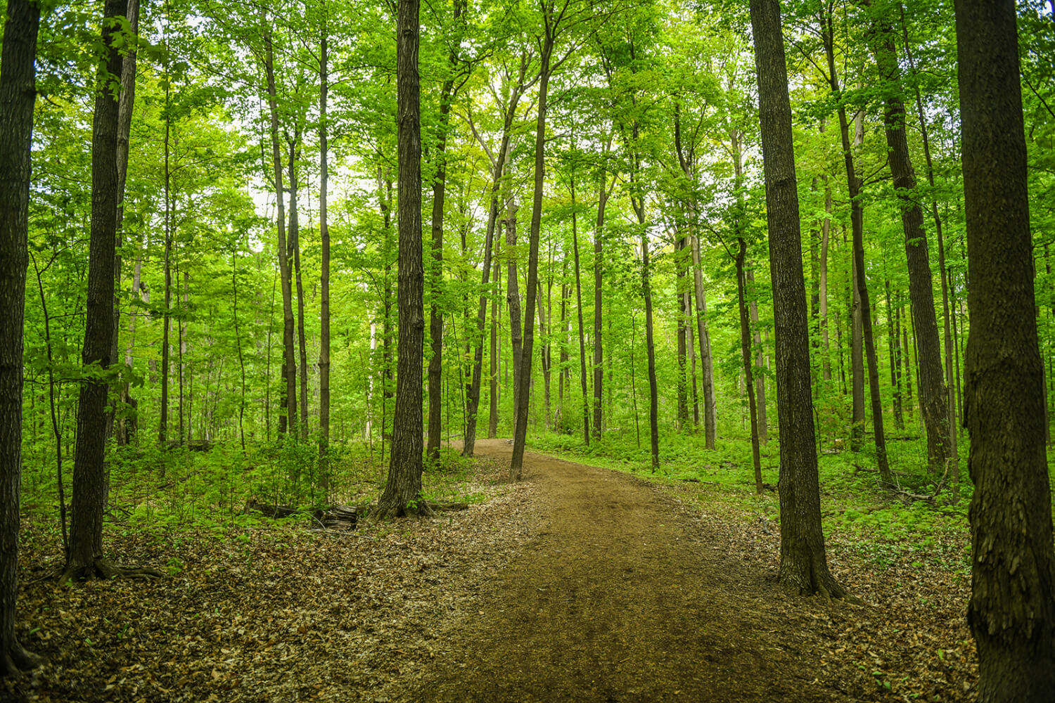 Emergency | Cedar Brook Early Learning Centre and Summer Camps ...